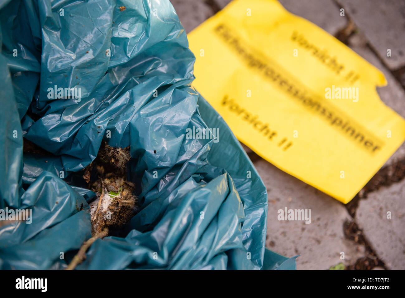 Oak processionary moth warning sign hi-res stock photography and images ...