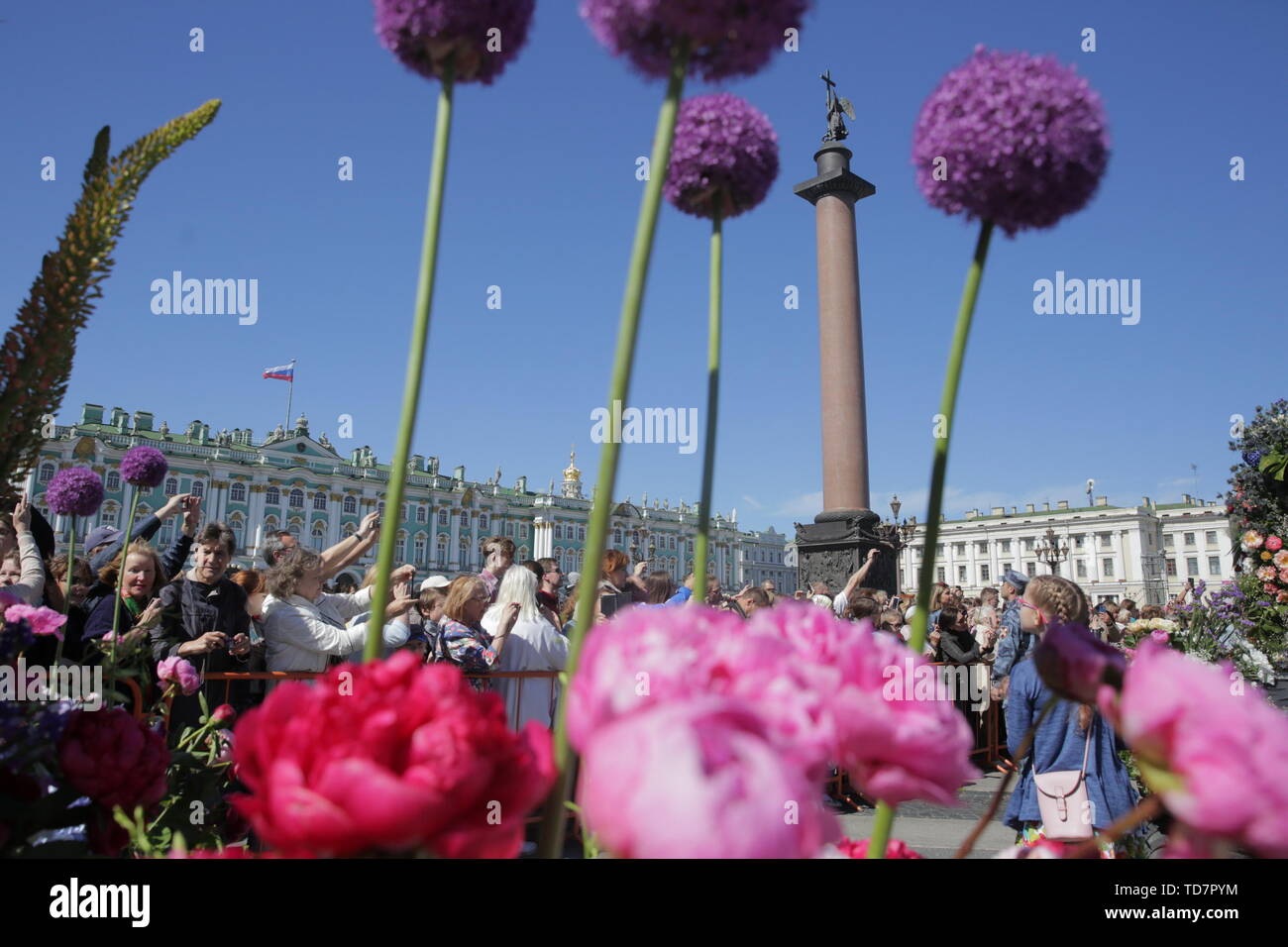 Russian national flower hi-res stock photography and images - Alamy