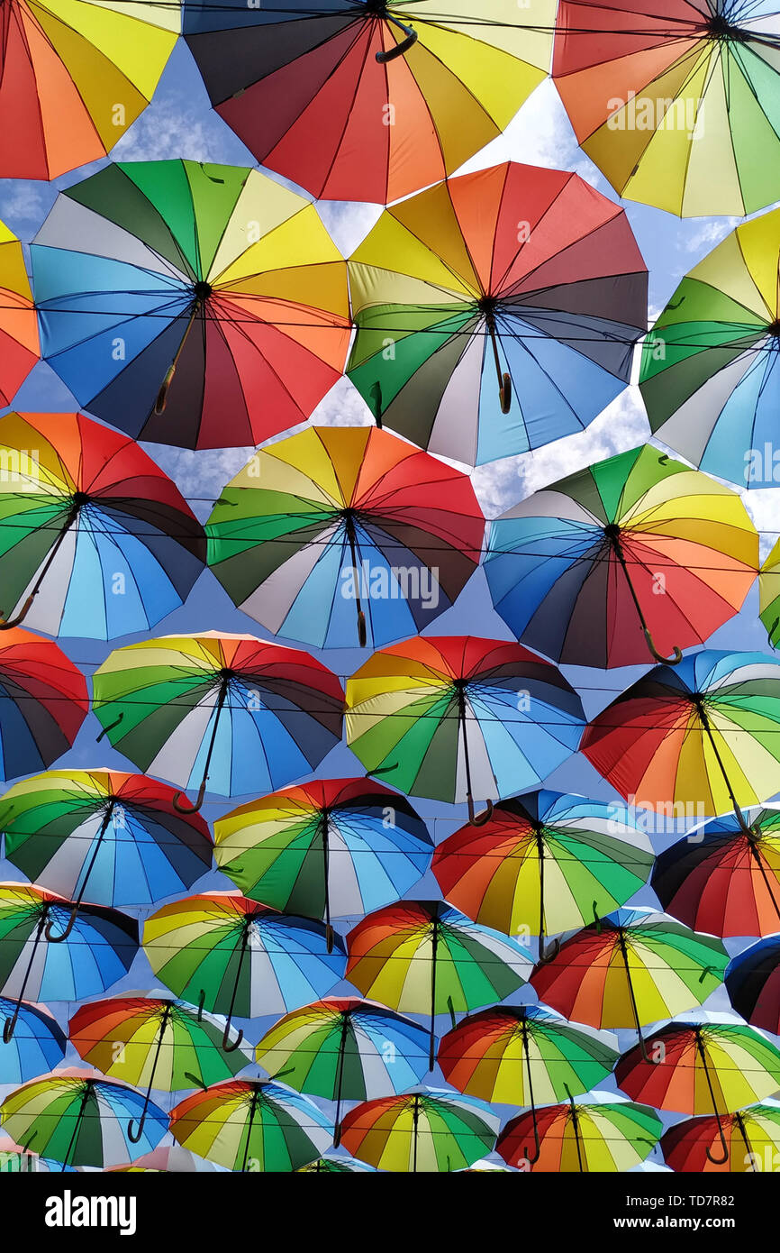 Colorful Real Umbrella