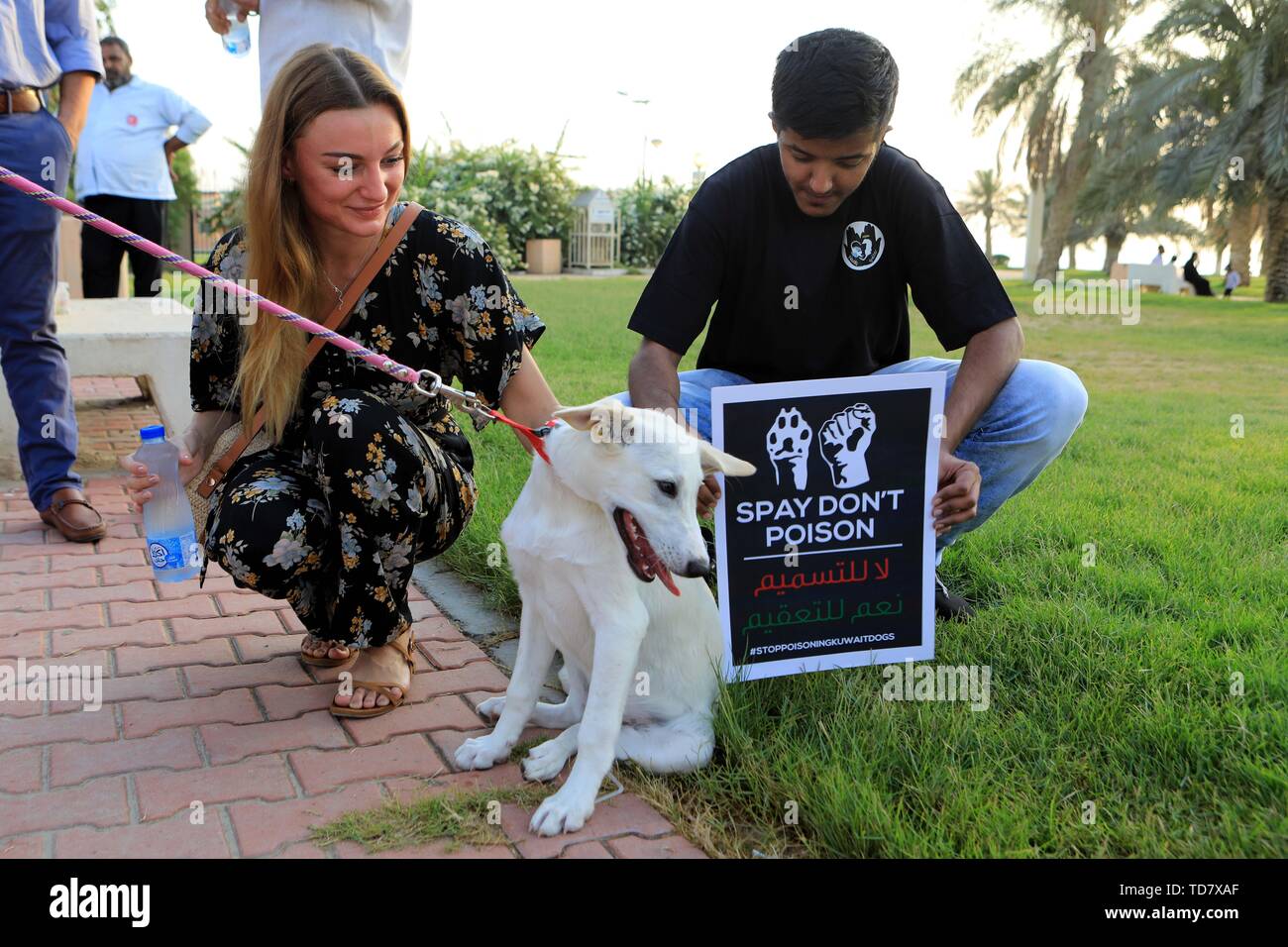 Kuwait City, Kuwait. 13th June, 2019. Animal rights activists are seen ...