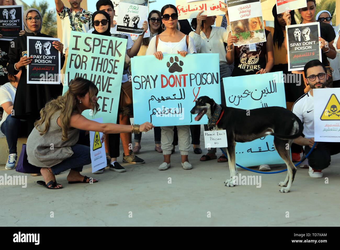 Kuwait City, Kuwait. 13th June, 2019. People participate in a peaceful ...