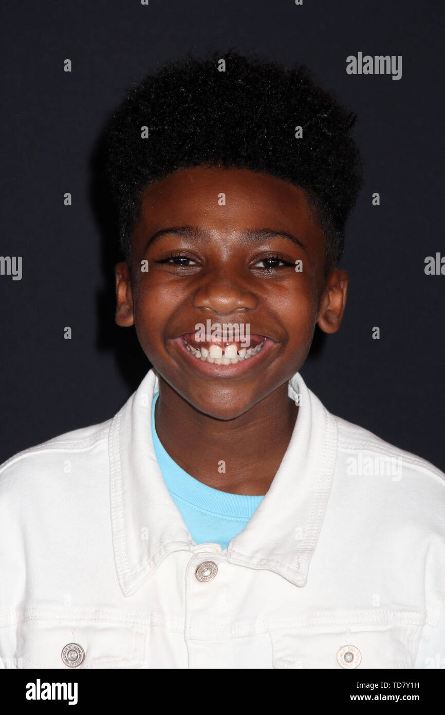 Los Angeles, USA. 11th June, 2019. Christian J. Simon 06/11/2019 “Toy ...