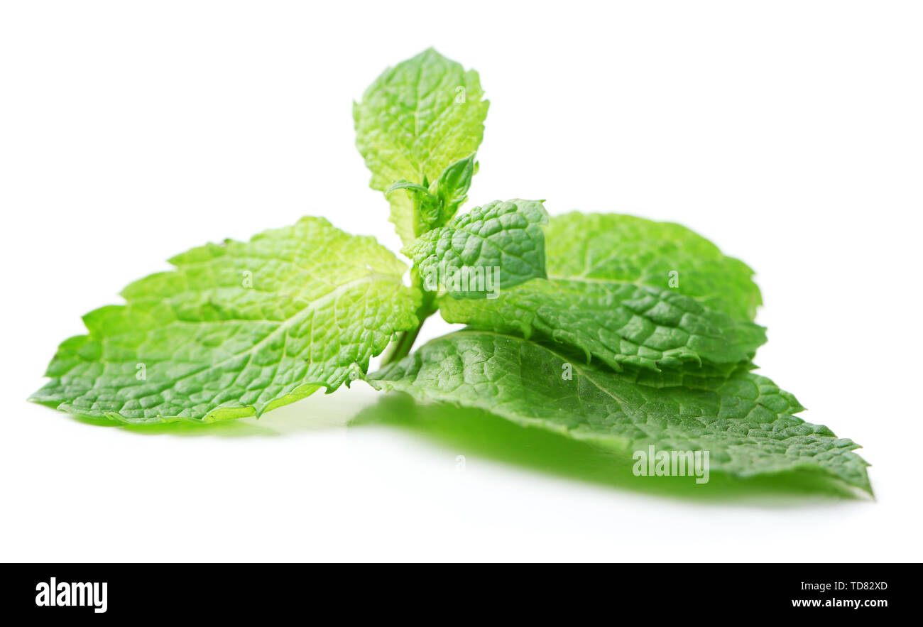 Fresh mint leaves isolated on white Stock Photo - Alamy