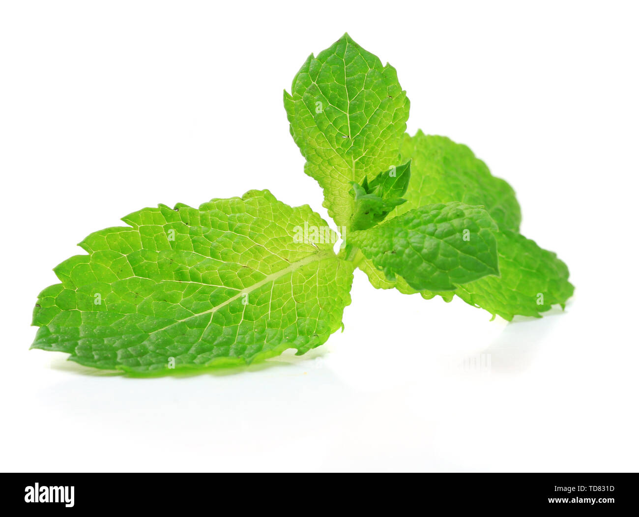 Fresh mint leaves isolated on white Stock Photo - Alamy
