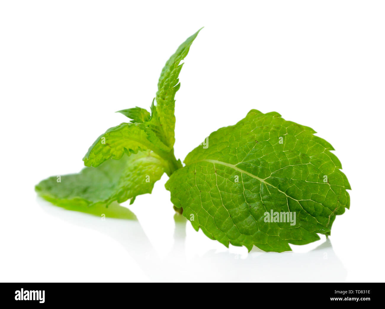 Fresh mint leaves isolated on white Stock Photo - Alamy
