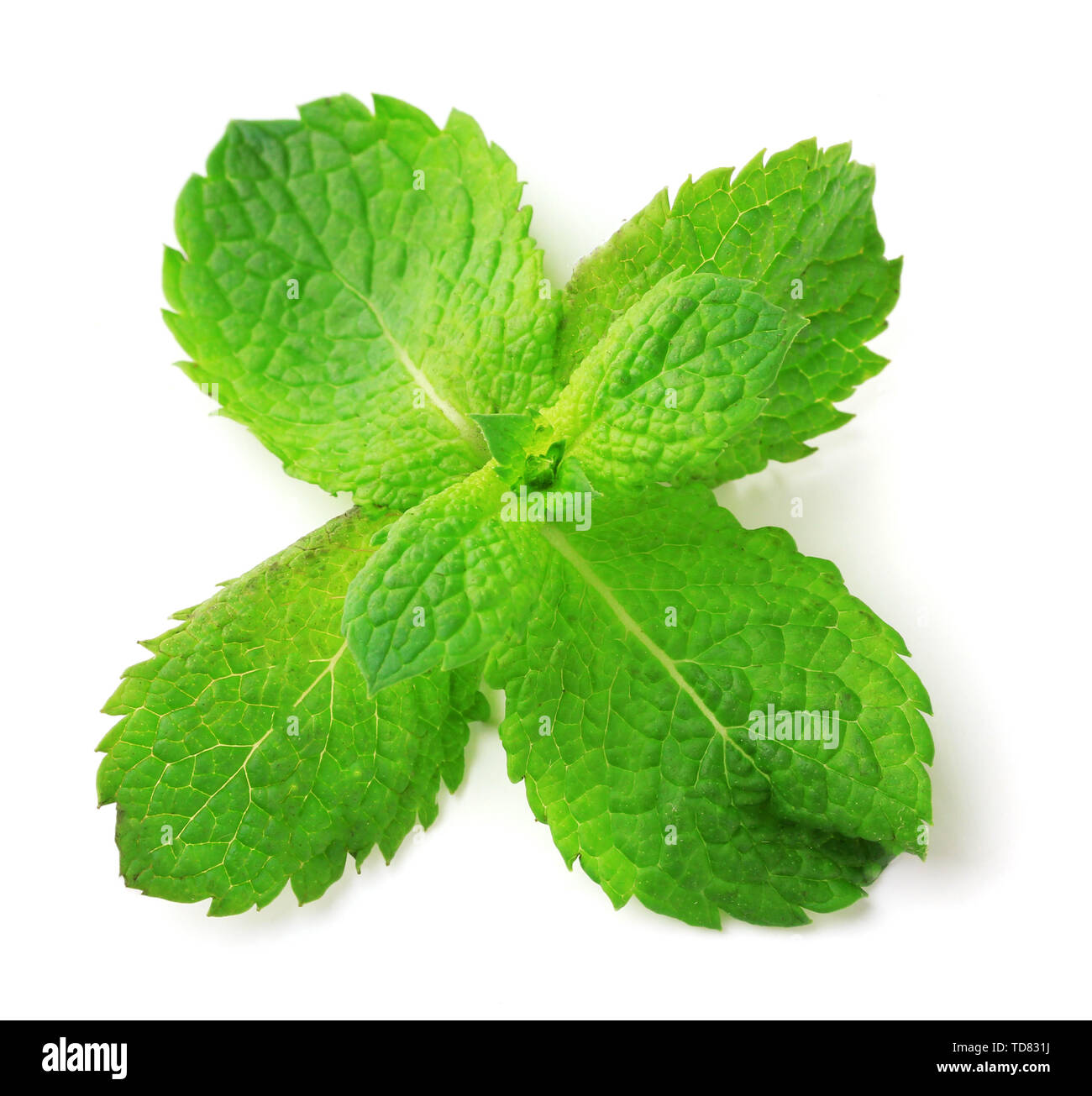 Fresh mint leaves isolated on white Stock Photo - Alamy