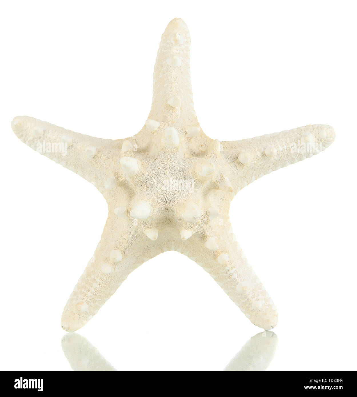 White starfish isolated on white Stock Photo - Alamy