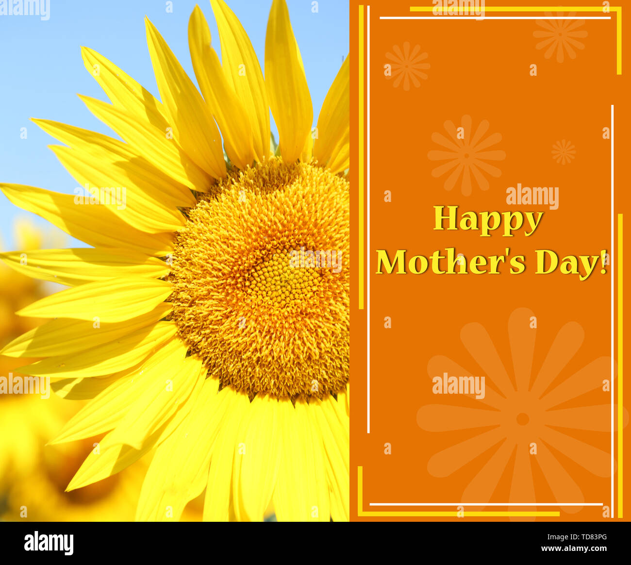 Mom with sunflower hi-res stock photography and images - Alamy