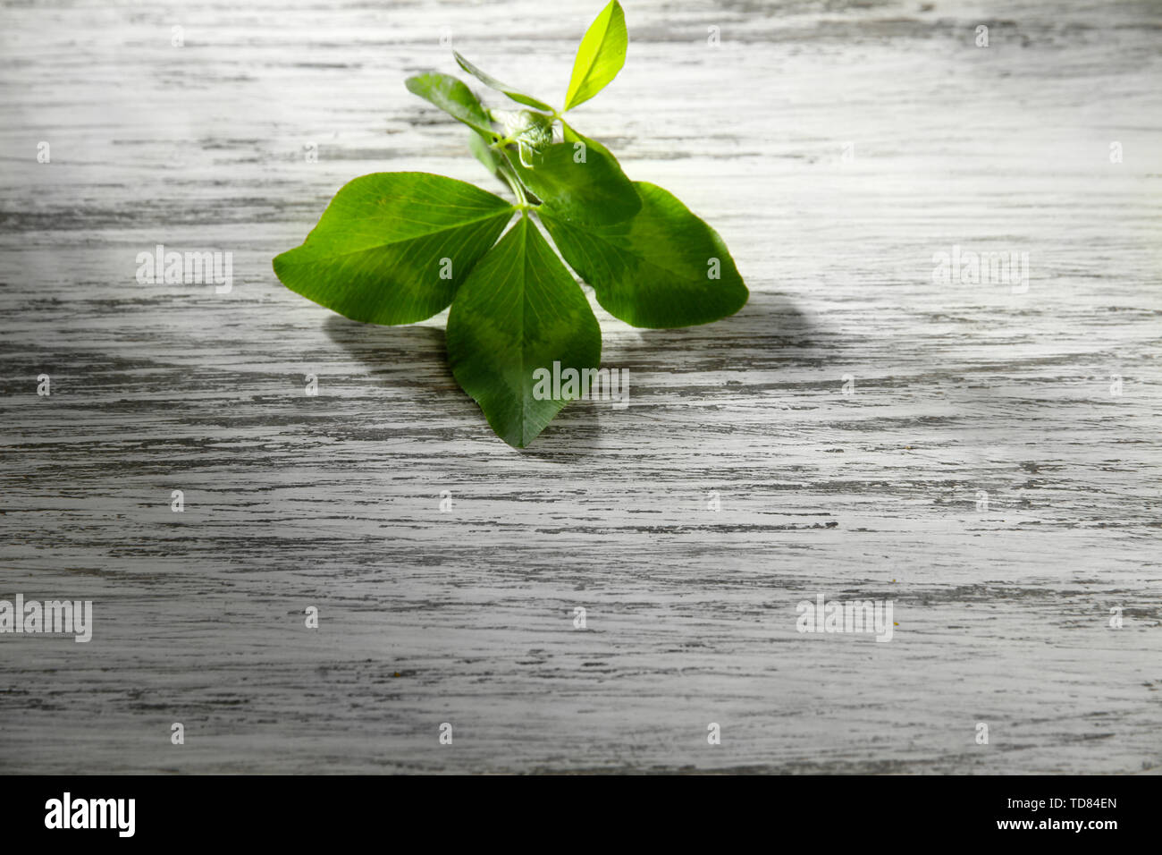 Trefoil plan hi-res stock photography and images - Alamy