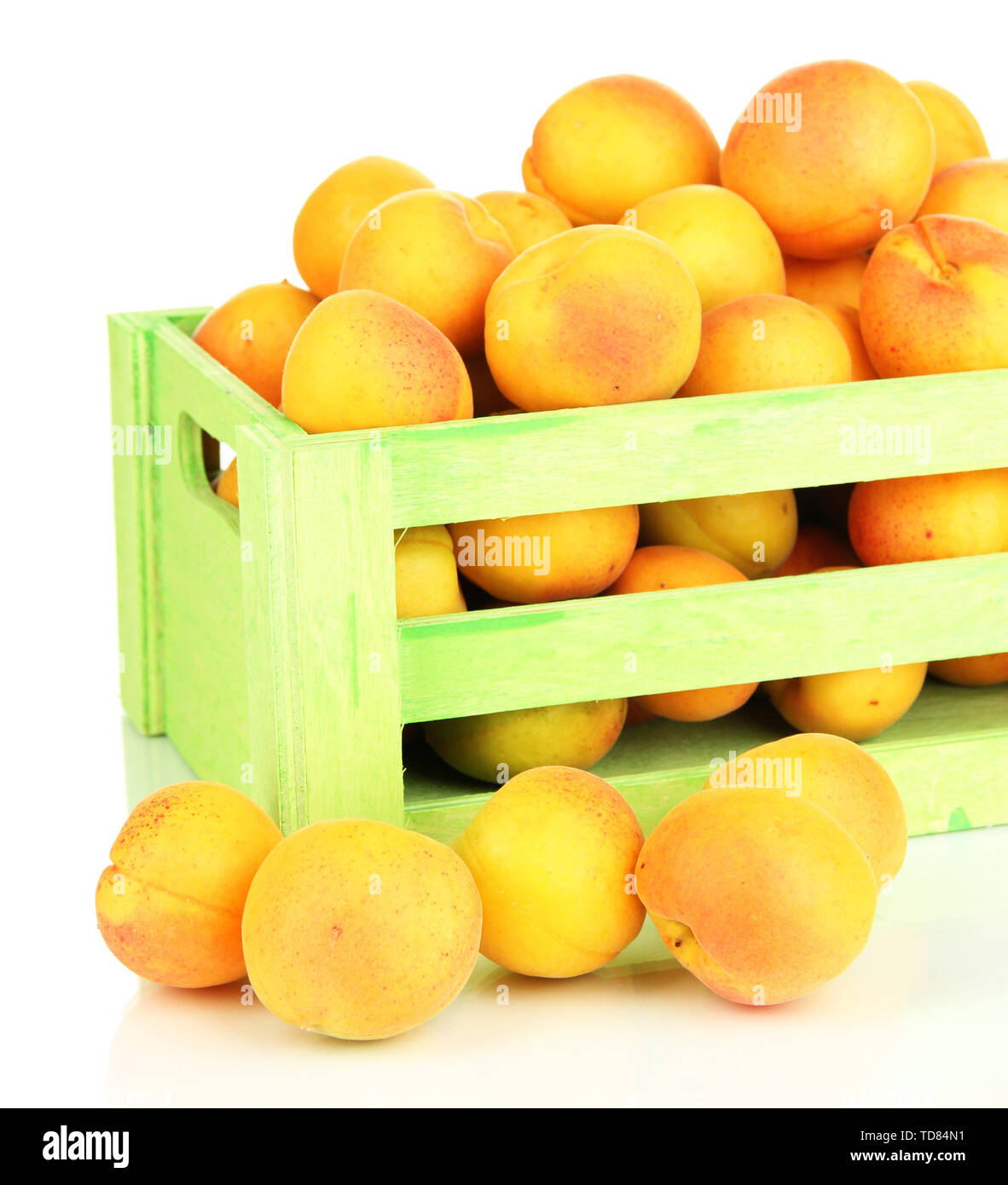Apricot plant container hi-res stock photography and images - Alamy