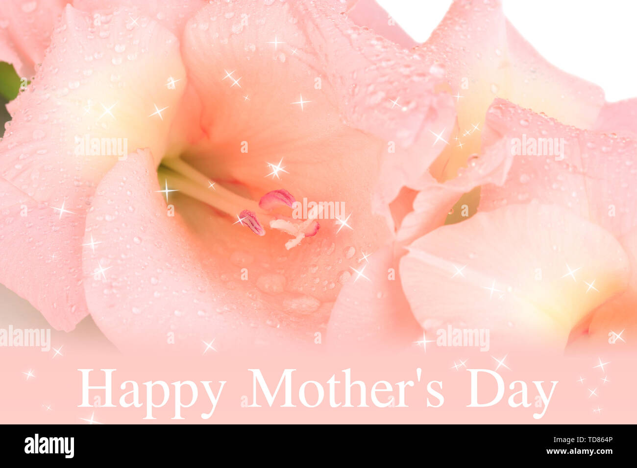 Beautiful woman bouquet gladiolus hi-res stock photography and images ...