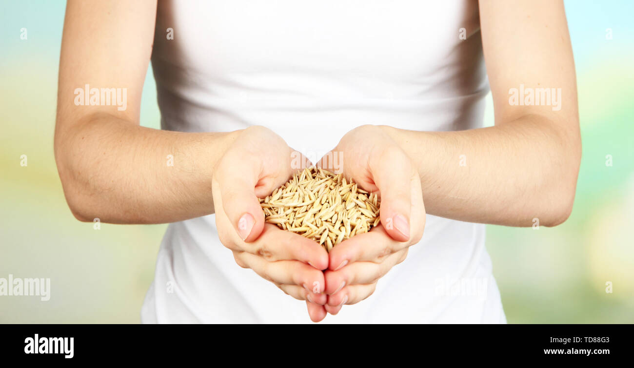Wheat grain in female hands on natural background Stock Photo - Alamy