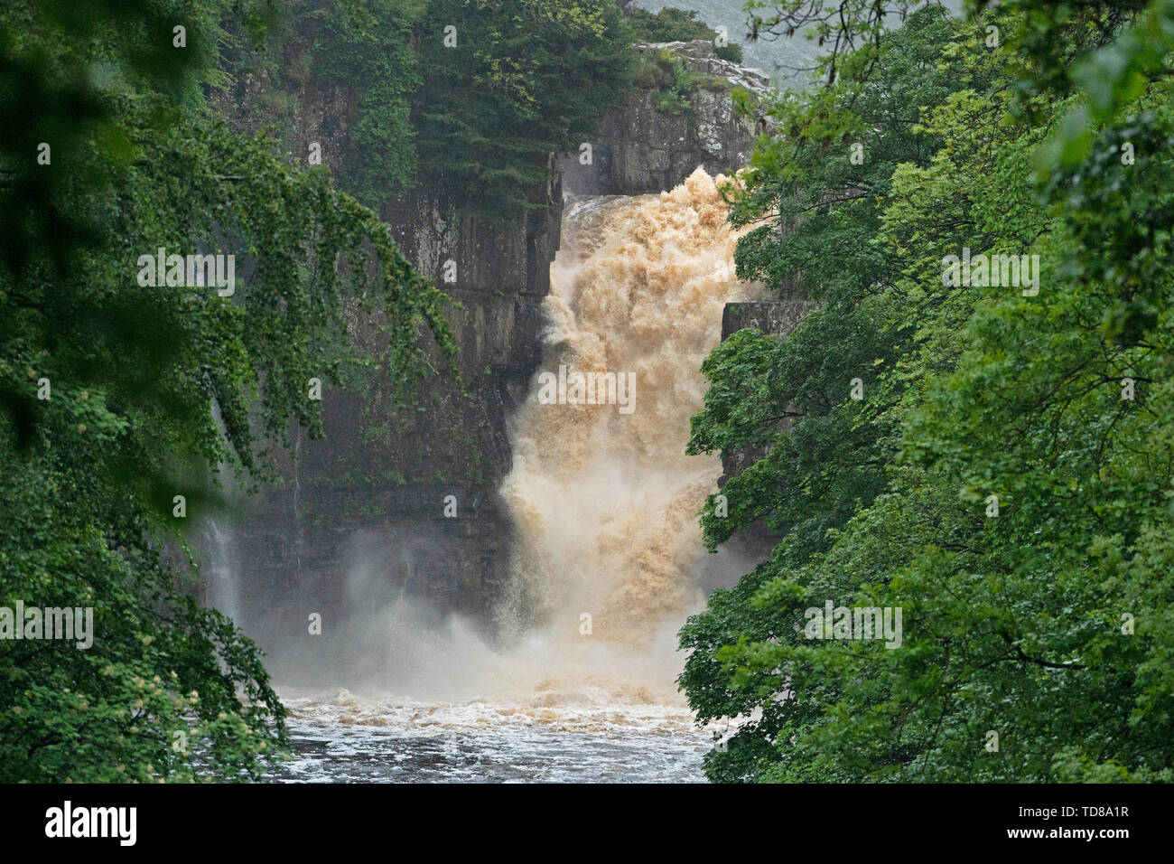 Water gushes over the High Force Waterfall on the River Tees in ...
