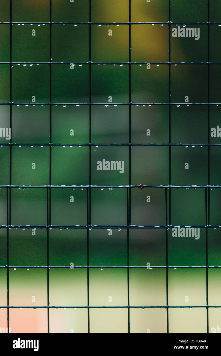 Rain grid hi-res stock photography and images - Alamy