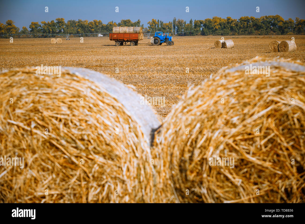 Hay bail harvesting in wonderful autumn farmers field landscape with ...