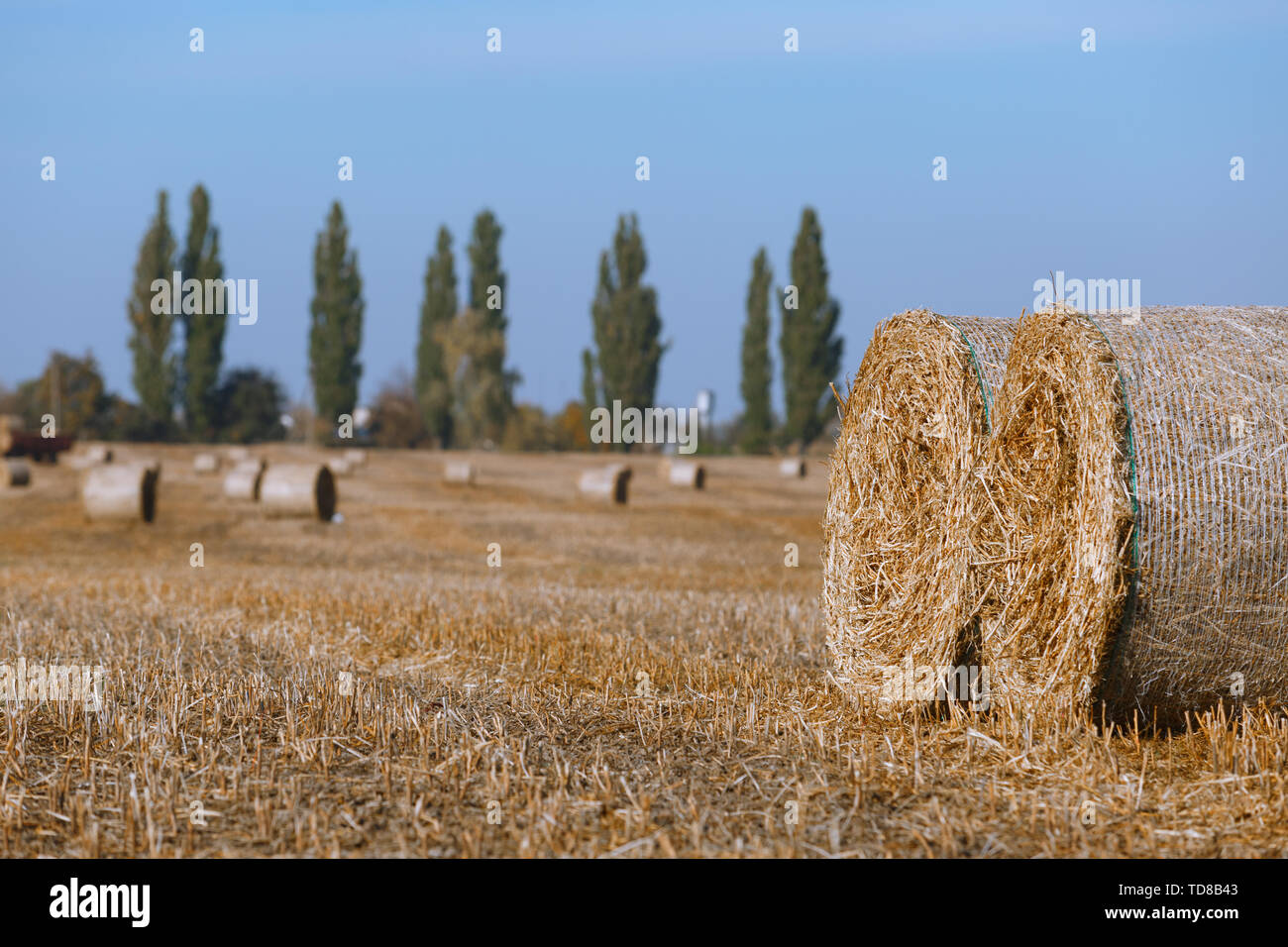 Hay bail harvesting in wonderful autumn farmers field landscape with ...