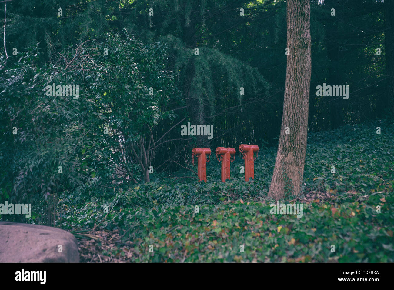 Fire hydrant in woods along Jinji Lake, Suzhou Stock Photo - Alamy