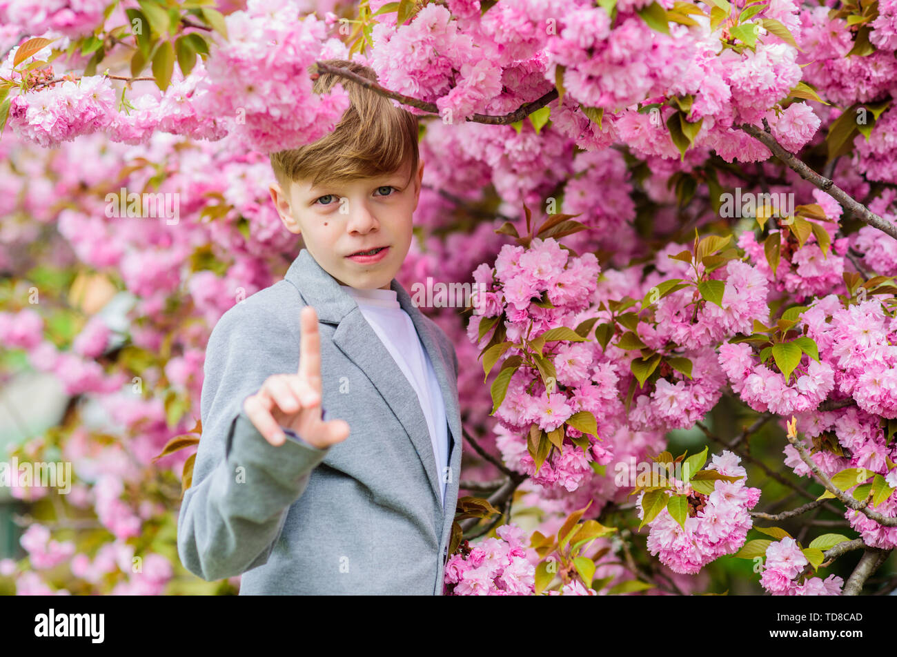 Sakura garden concept. Guy enjoying cherry blossom sakura. Confident ...