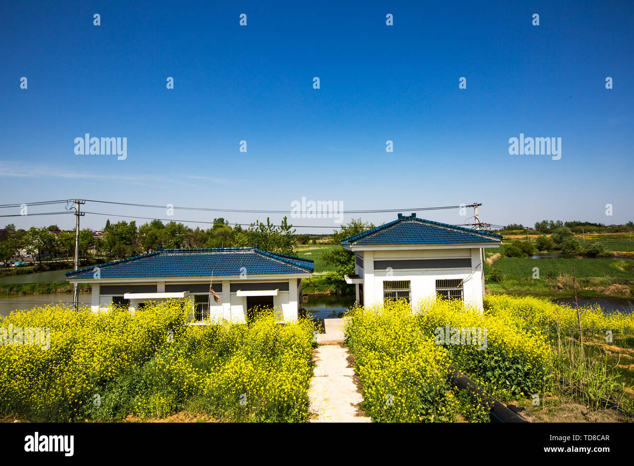 Nanjing Lishui Shijiu Lake, Shijiu Lake Bridge and Lake Scenery Stock ...