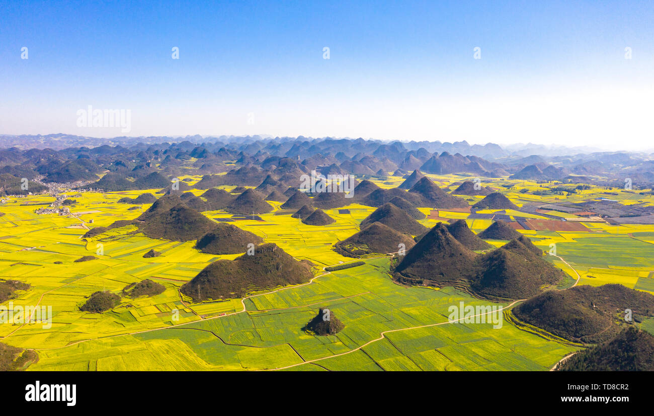 rapeseed in Luoping County, Qujing, Yunnan Province Stock Photo - Alamy