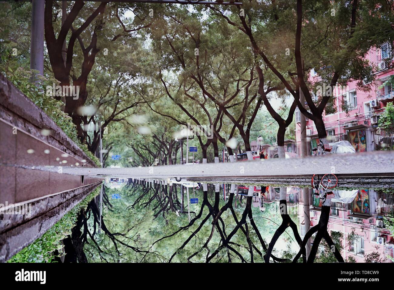 Tourism park guide and vision hi-res stock photography and images - Alamy