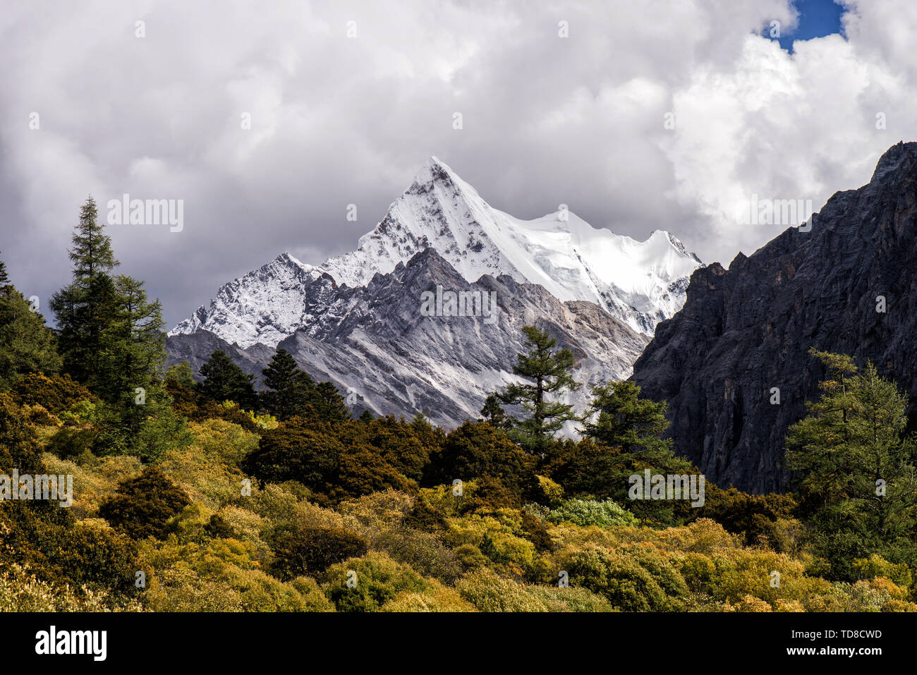 Rice City. Aden Stock Photo - Alamy