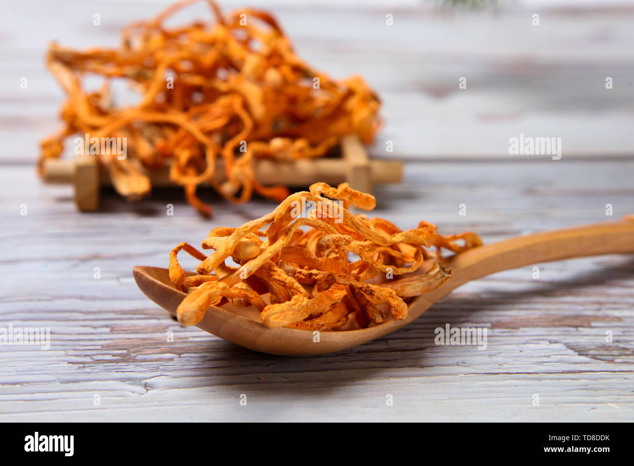 Cordyceps flower hi-res stock photography and images - Alamy