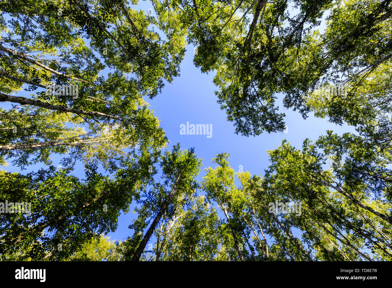 Hulunbuir Haur River, Inner Mongolia Stock Photo - Alamy
