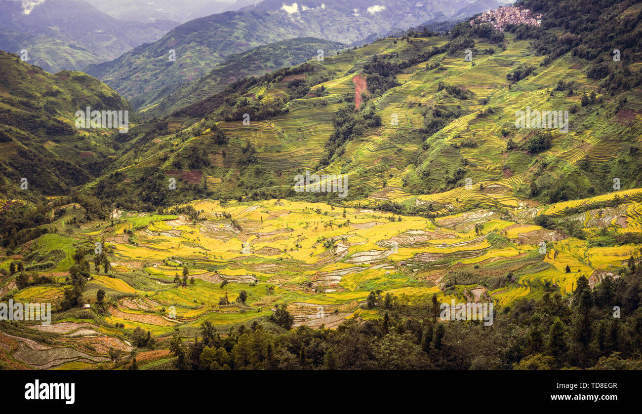 Ailao Mountain scenery Stock Photo - Alamy