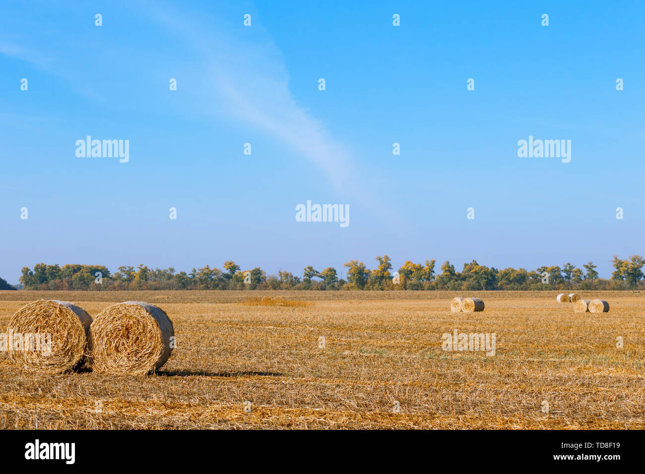 Hay bail harvesting in wonderful autumn farmers field landscape with ...