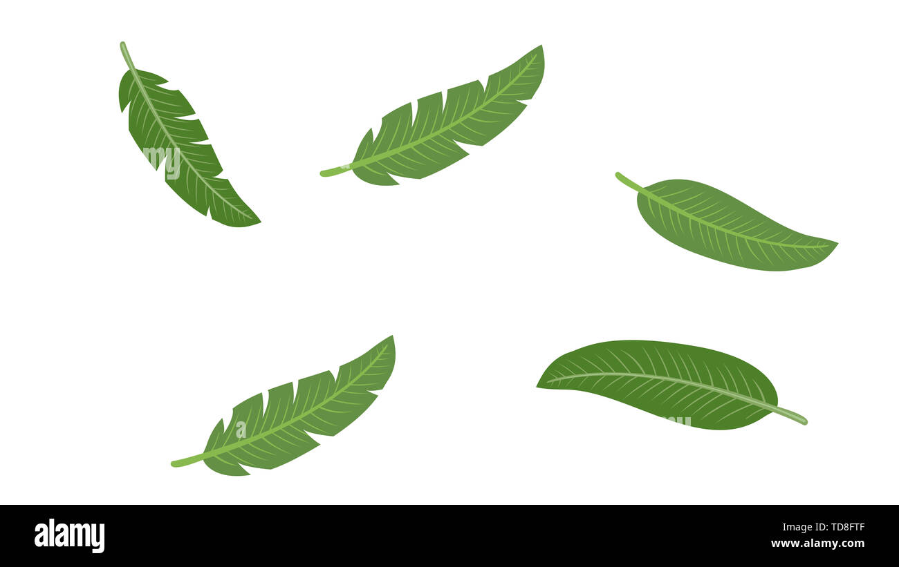 ins wind green leaf background template Stock Photo - Alamy