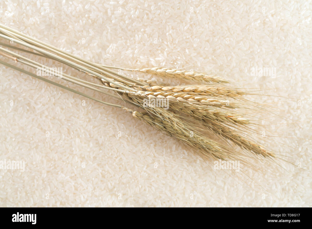 A bowl of rice, spikes of rice placed against the background of rice ...