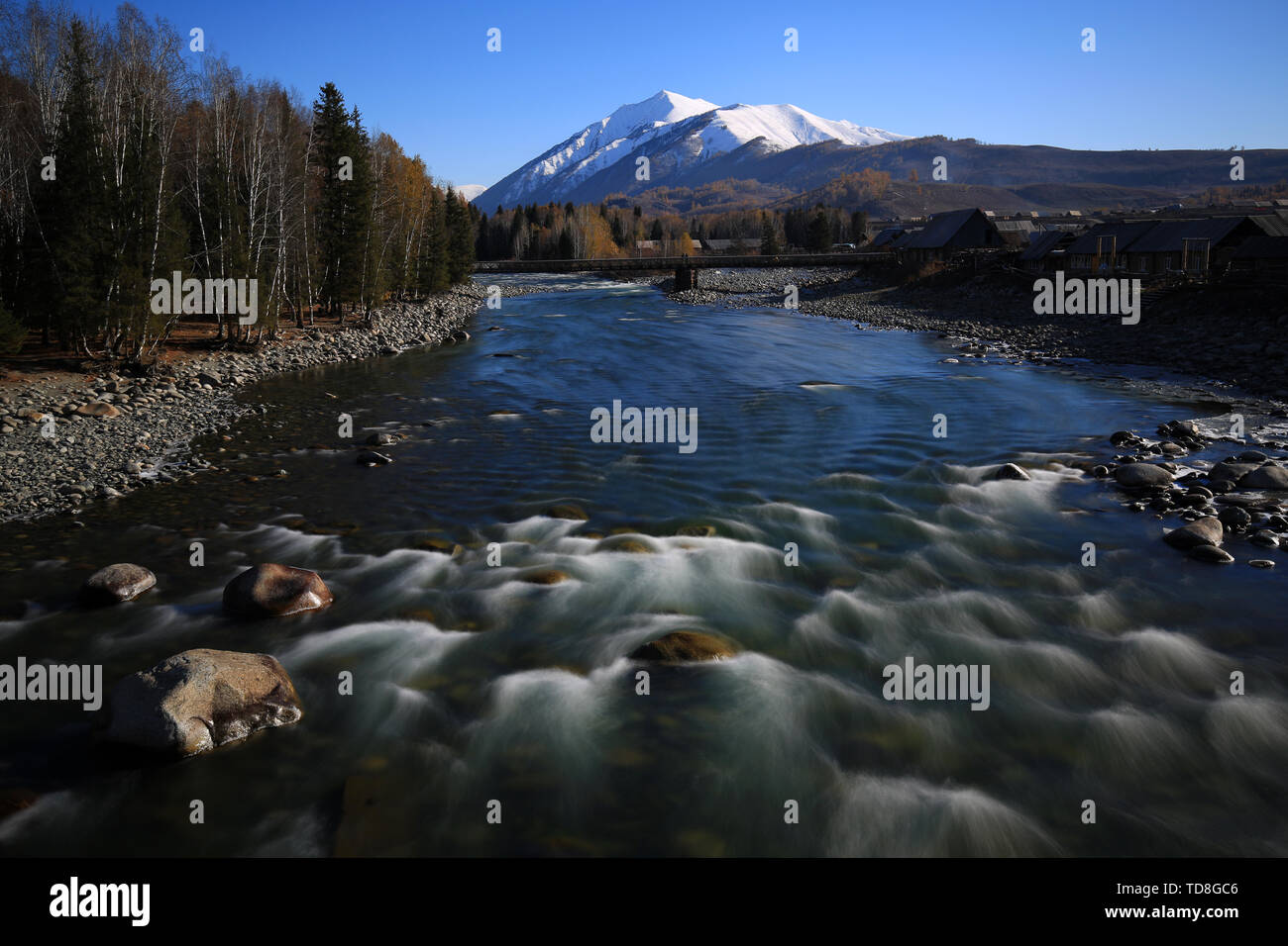 Autumn color of grasses Stock Photo - Alamy