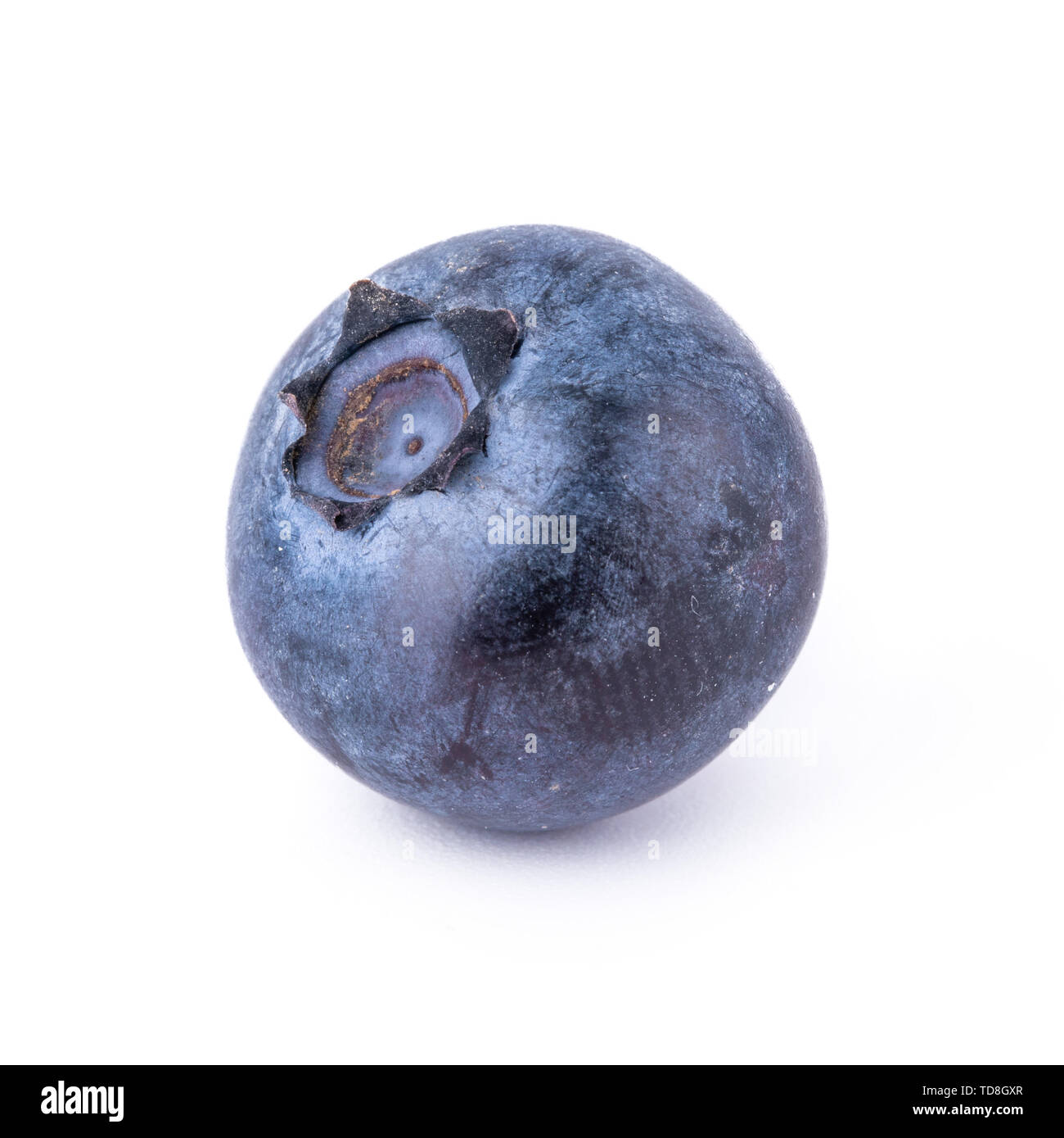 Blueberry still life close-up Stock Photo - Alamy