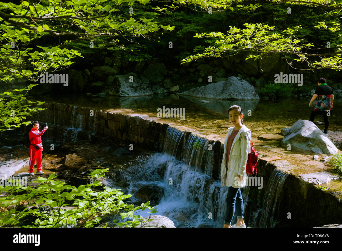 Human trees outdoor tourism for children hi-res stock photography and ...