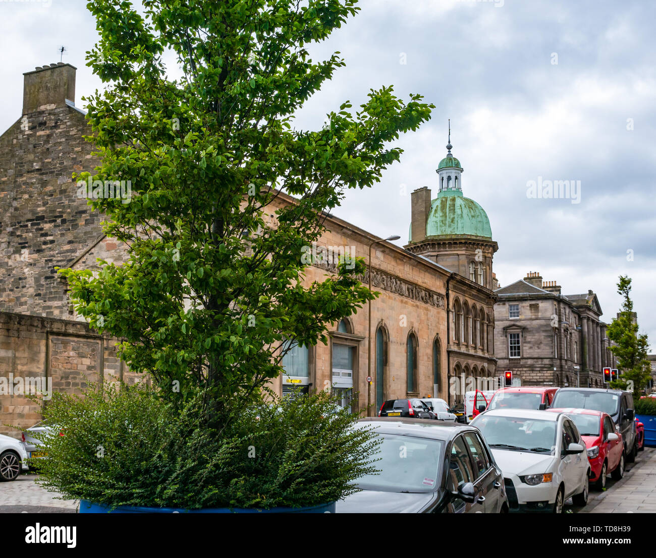 Trees in large pots appear in street parking area, Corn Exchange ...