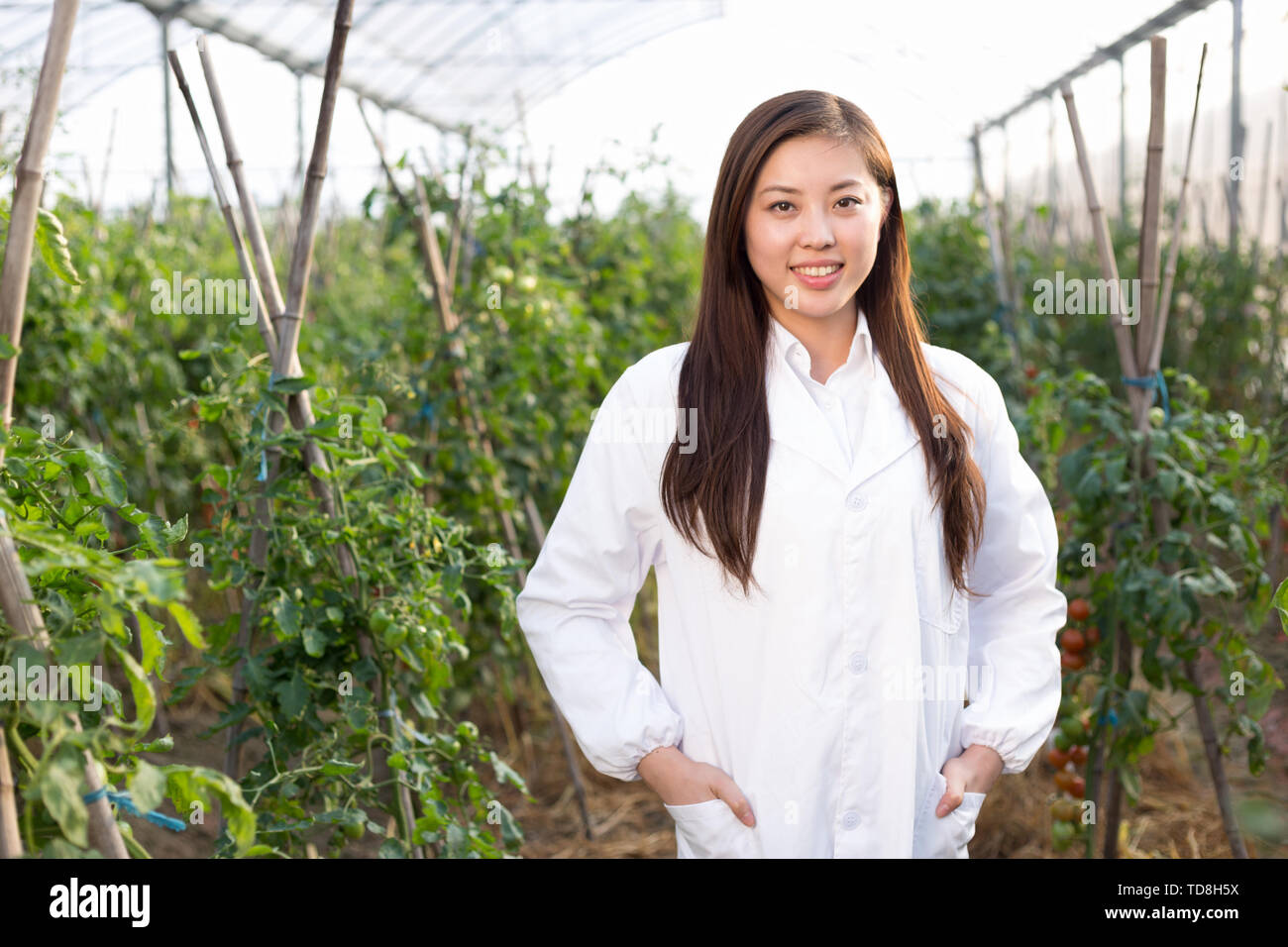 young beautiful chinese woman works in green field Stock Photo - Alamy