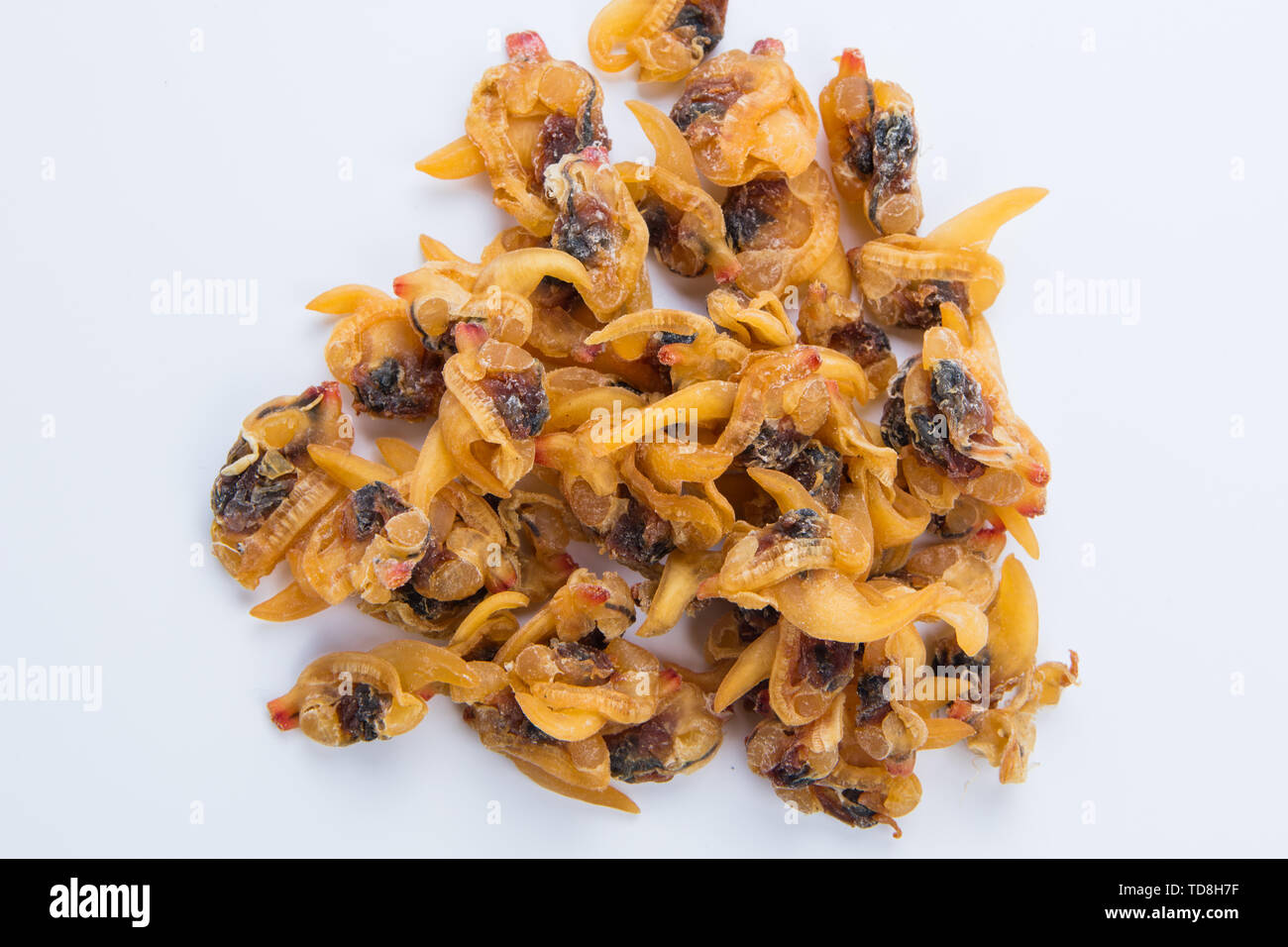 Dried clams dried seafood dry goods seafood hi-res stock photography ...