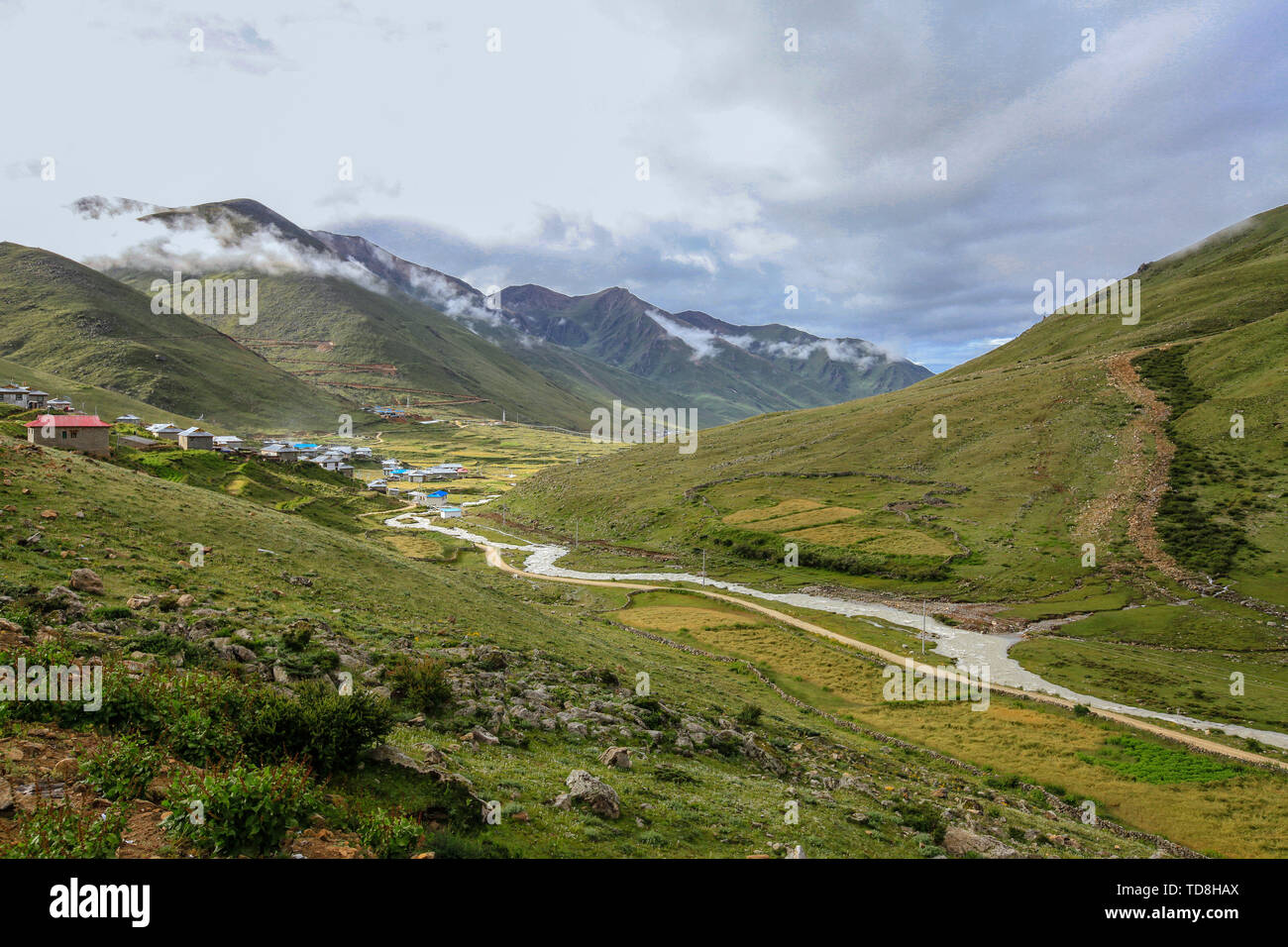 China's Tibetan Plateau alpine mountains and lakes running horses, blue ...