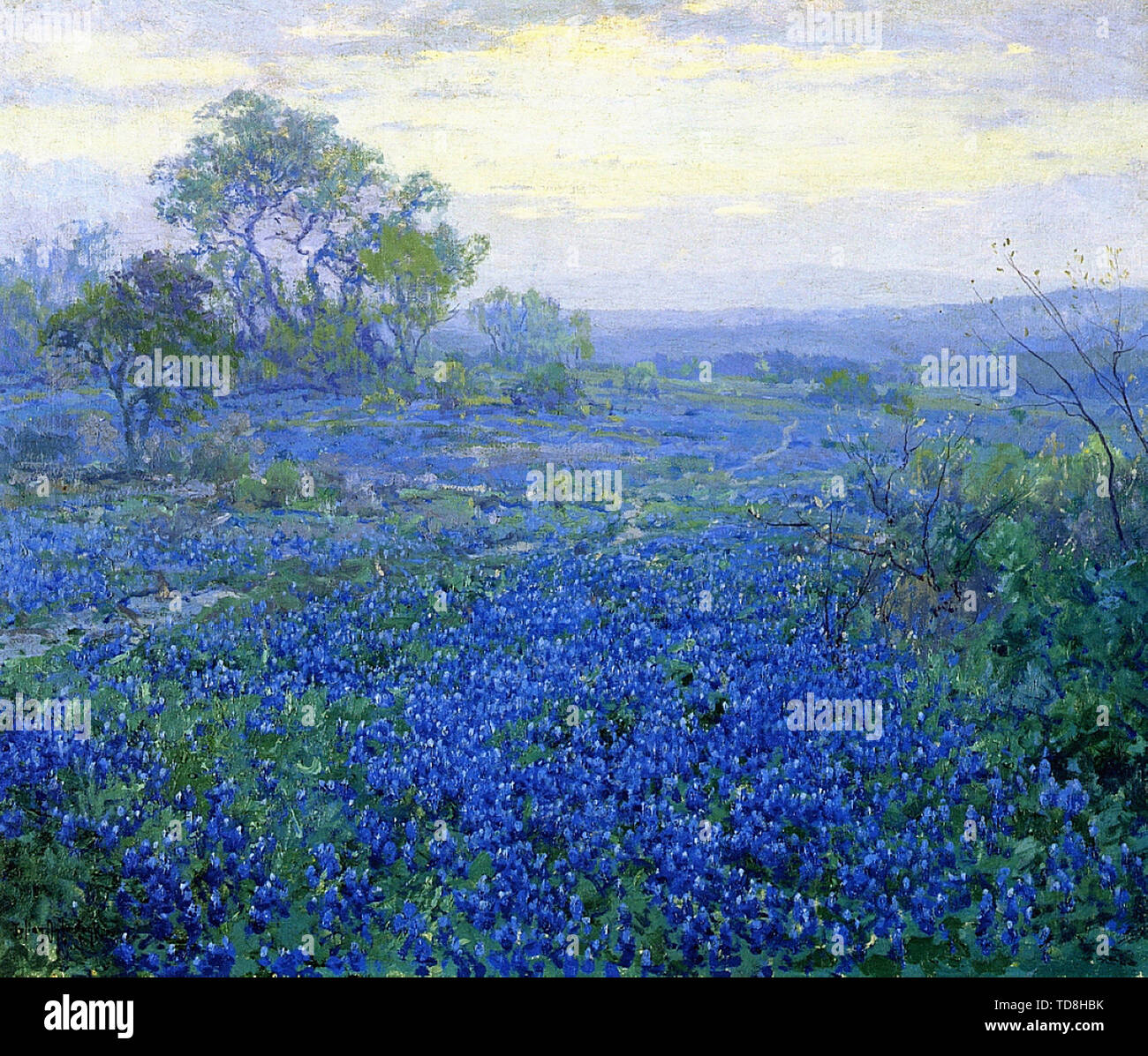 Julian Onderdonk - Cloudy Day Bluebonnets Near San Antonio Texas 1918 ...