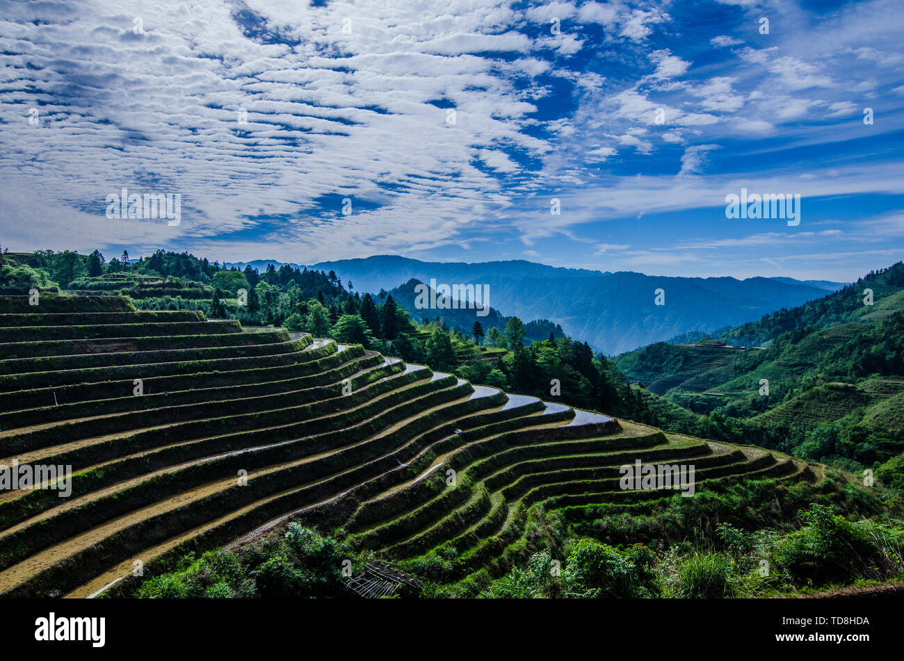 Jinkeng terraced fields hi-res stock photography and images - Alamy