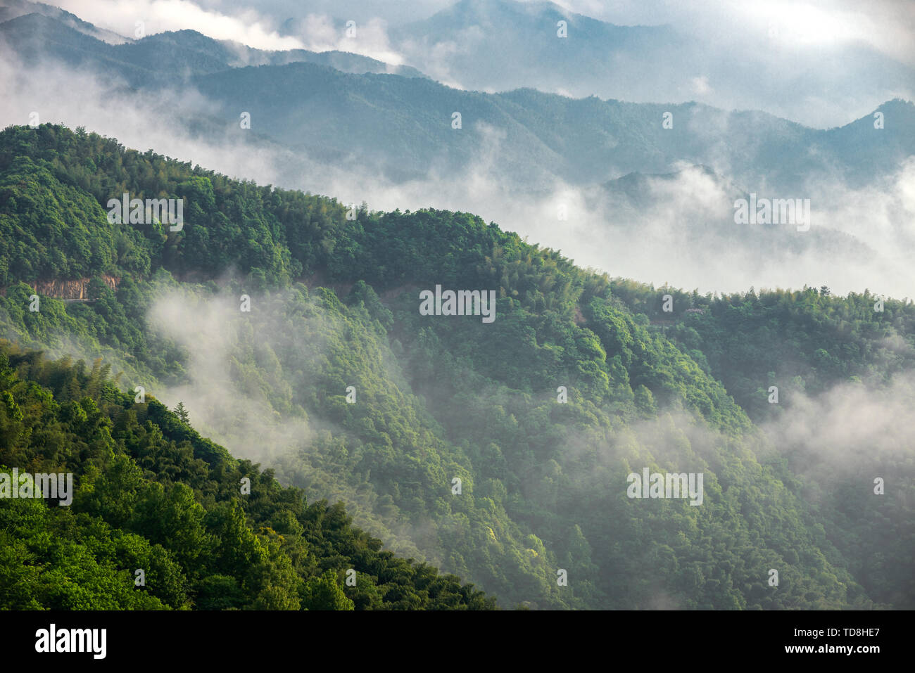 Fenghua ningbo hi-res stock photography and images - Alamy