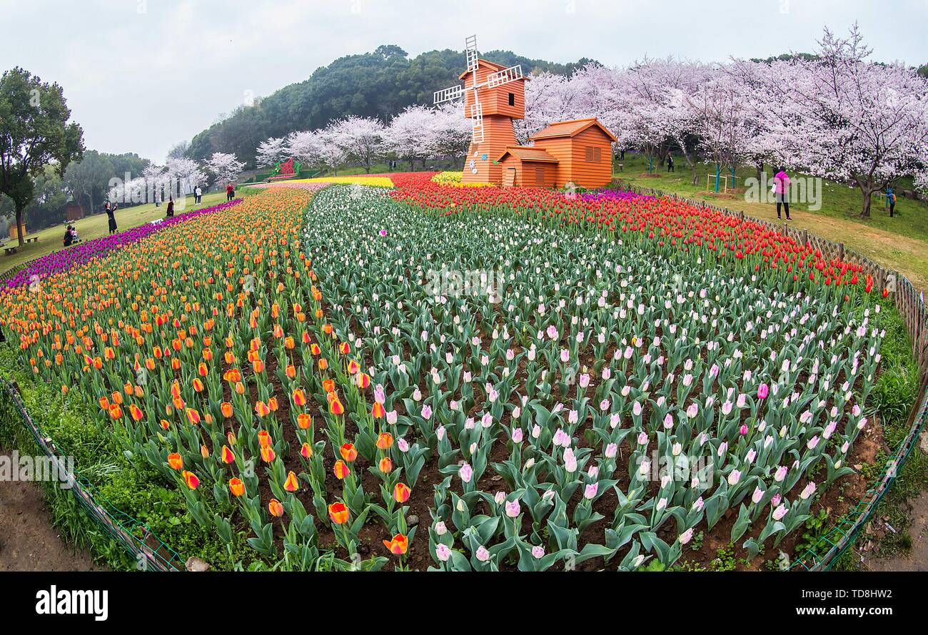 Suzhou, Shangfangshan, Hundred Flower Festival Stock Photo - Alamy