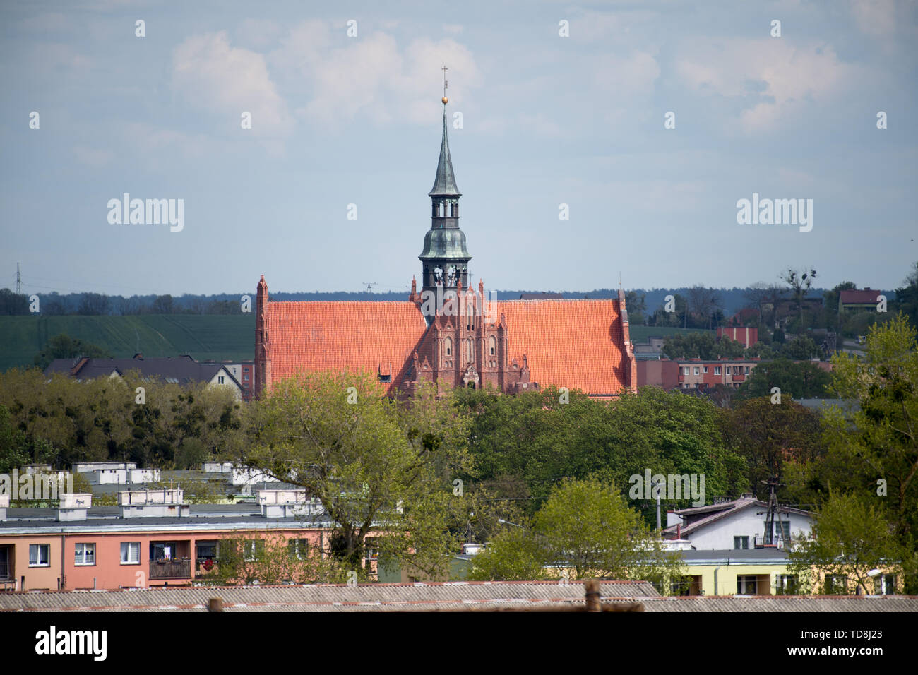 Gothic bazylika katedralna Wniebowziecia Najswietszej Maryi Panny ...