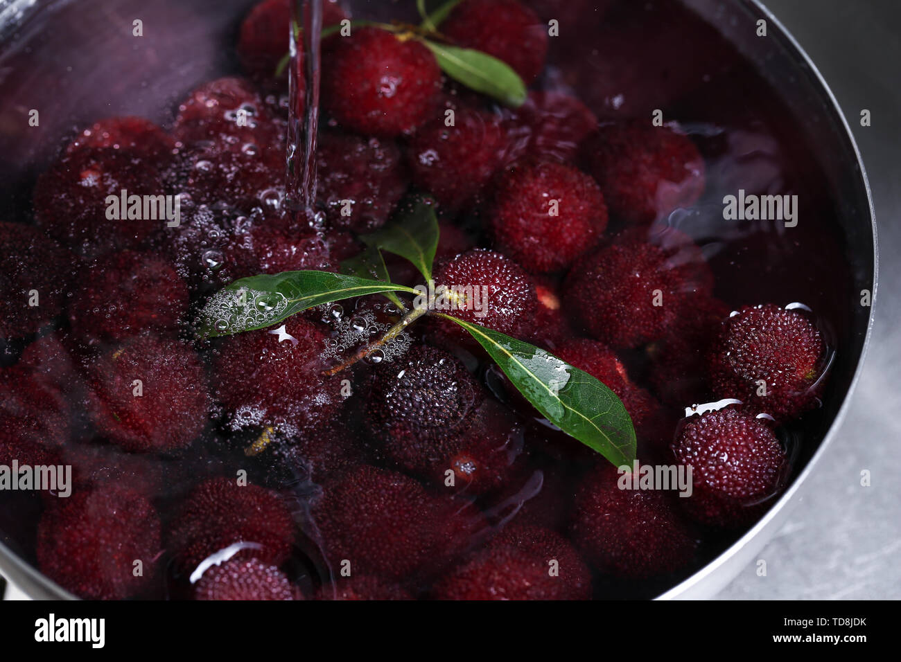 Red bayberry hi-res stock photography and images - Alamy