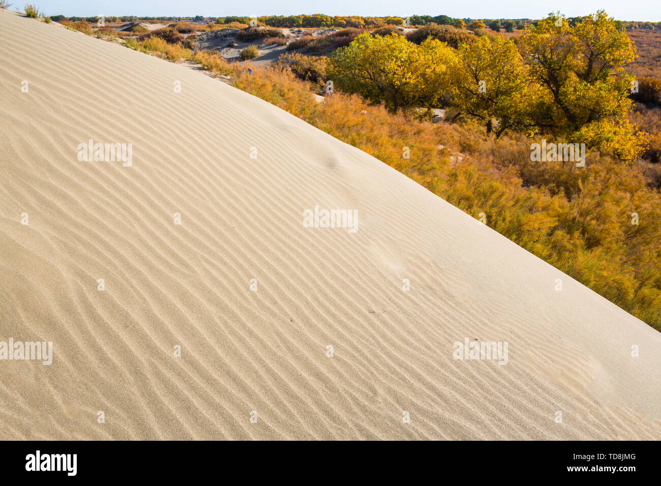 Hu yang and hu yang lin hi-res stock photography and images - Alamy