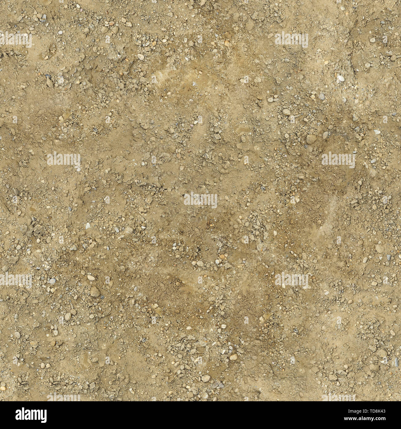 The soil under the feet is Golden with textured surface.Texture or ...