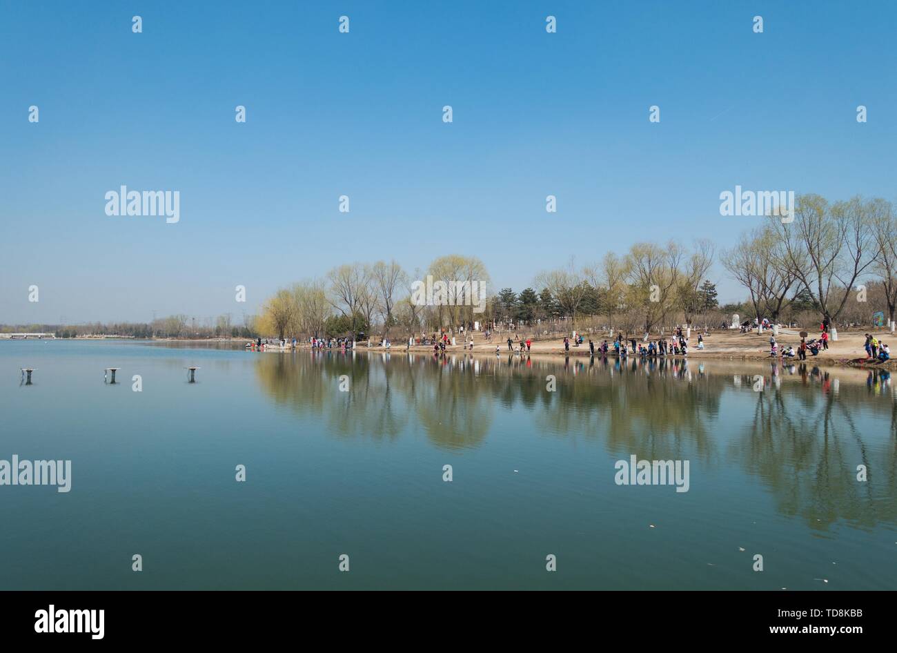 Nanhaizi park hi-res stock photography and images - Alamy