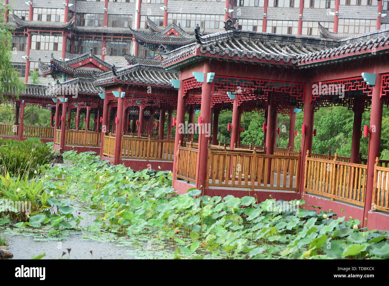 Antique architecture and lotus pavilion lotus Stock Photo - Alamy