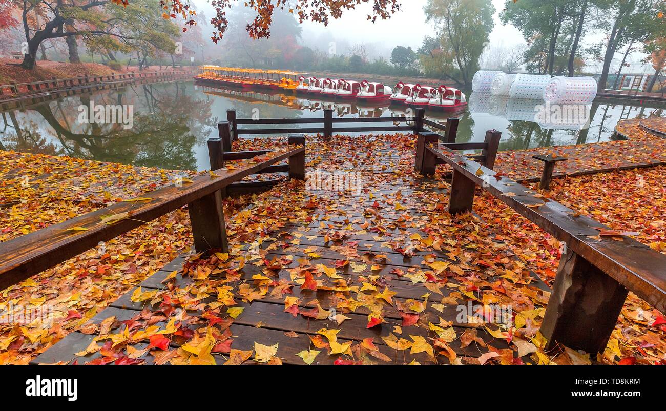 Suzhou garden Tianping Mountain red maple Stock Photo - Alamy